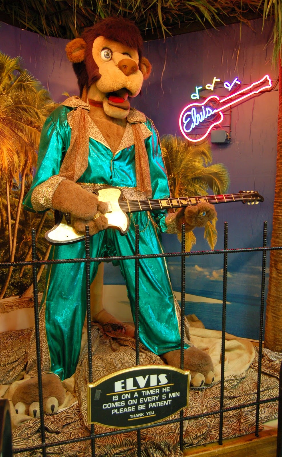 Jungle Gyms Grocery Store